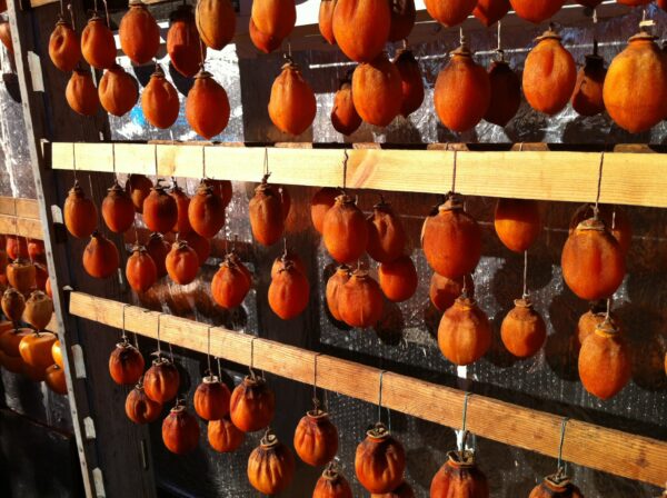 Blue Goose Produce, We specialize in locally grown fruits, vegetables ...